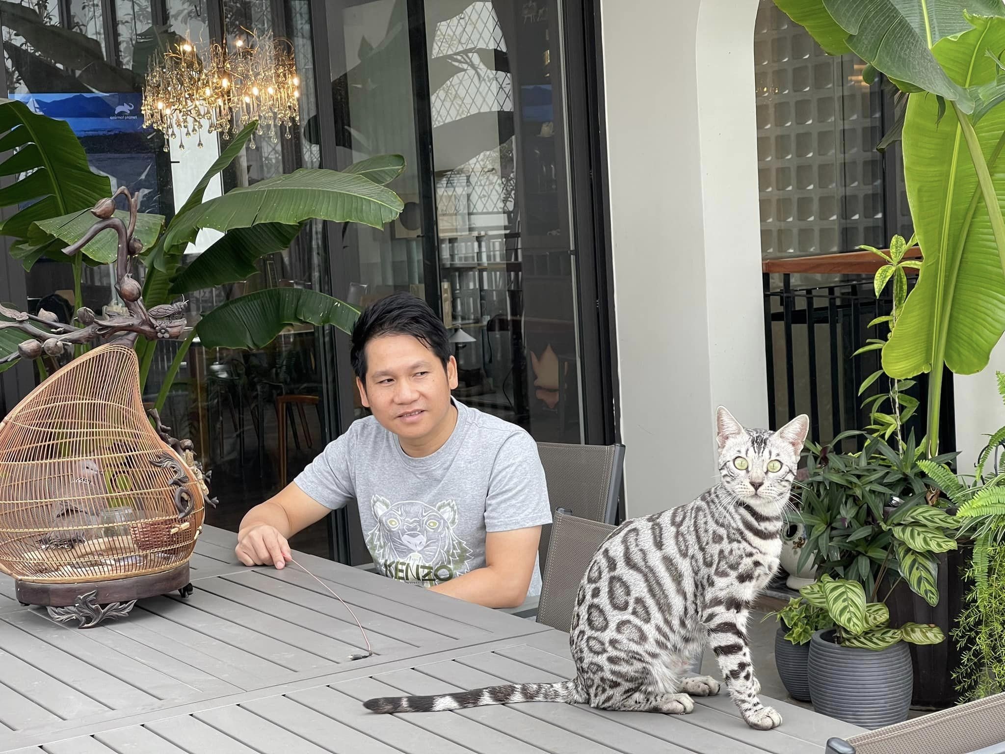 Đan Trường khoe đàn mèo cưng trị giá cả trăm triệu