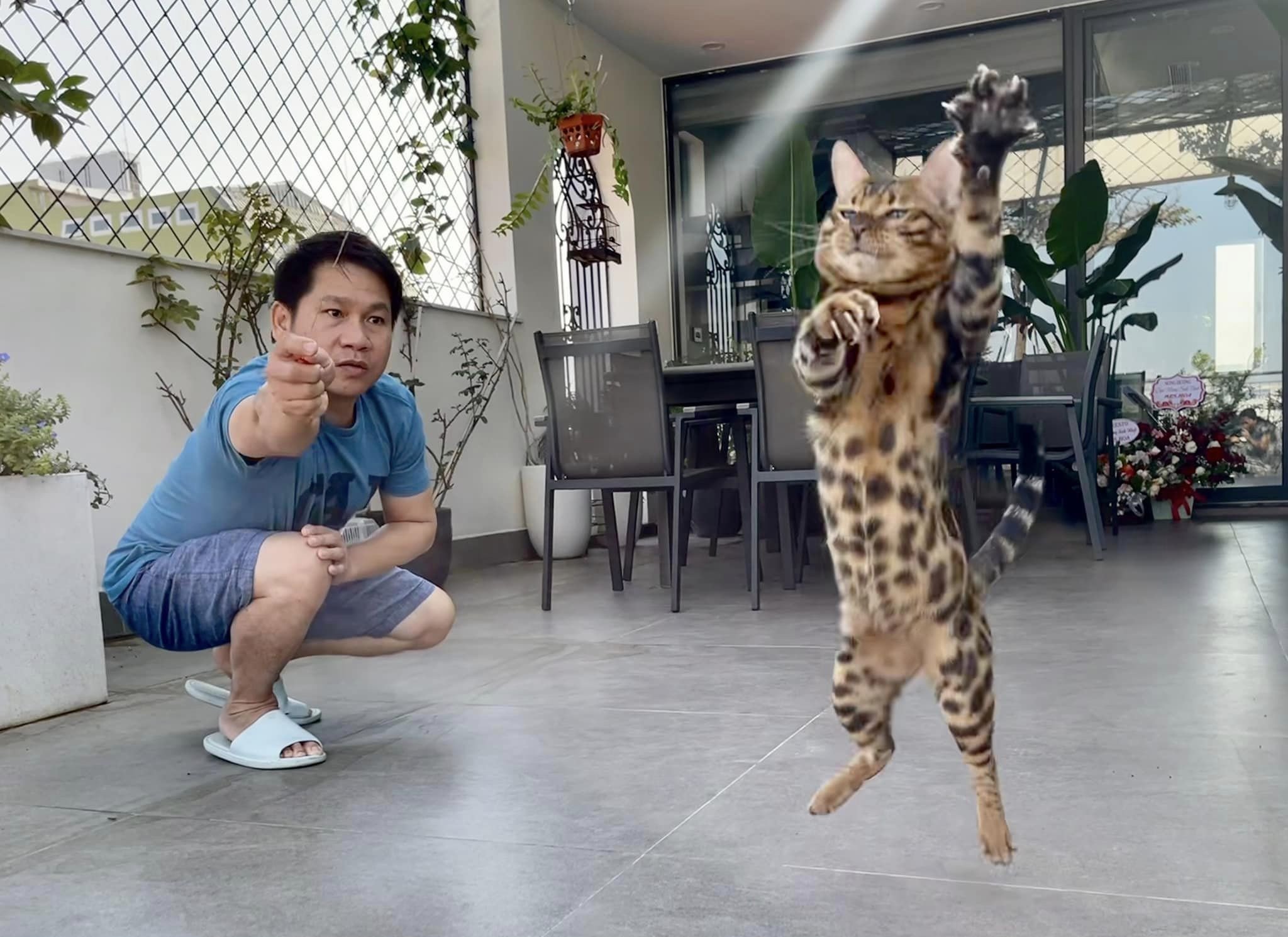 Đan Trường khoe đàn mèo cưng trị giá cả trăm triệu