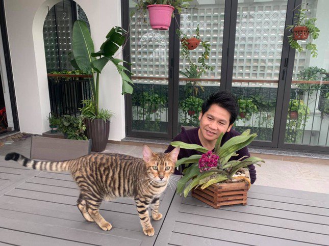 Đan Trường khoe đàn mèo cưng trị giá cả trăm triệu