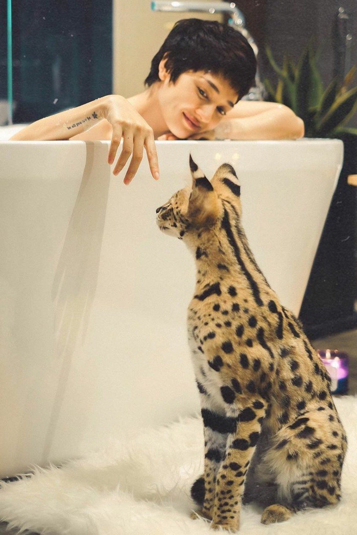 Đan Trường khoe đàn mèo cưng trị giá cả trăm triệu