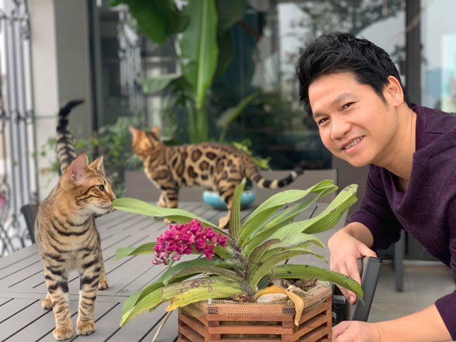 Đan Trường khoe đàn mèo cưng trị giá cả trăm triệu