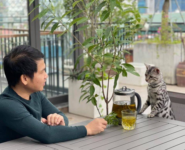 Đan Trường khoe đàn mèo cưng trị giá cả trăm triệu