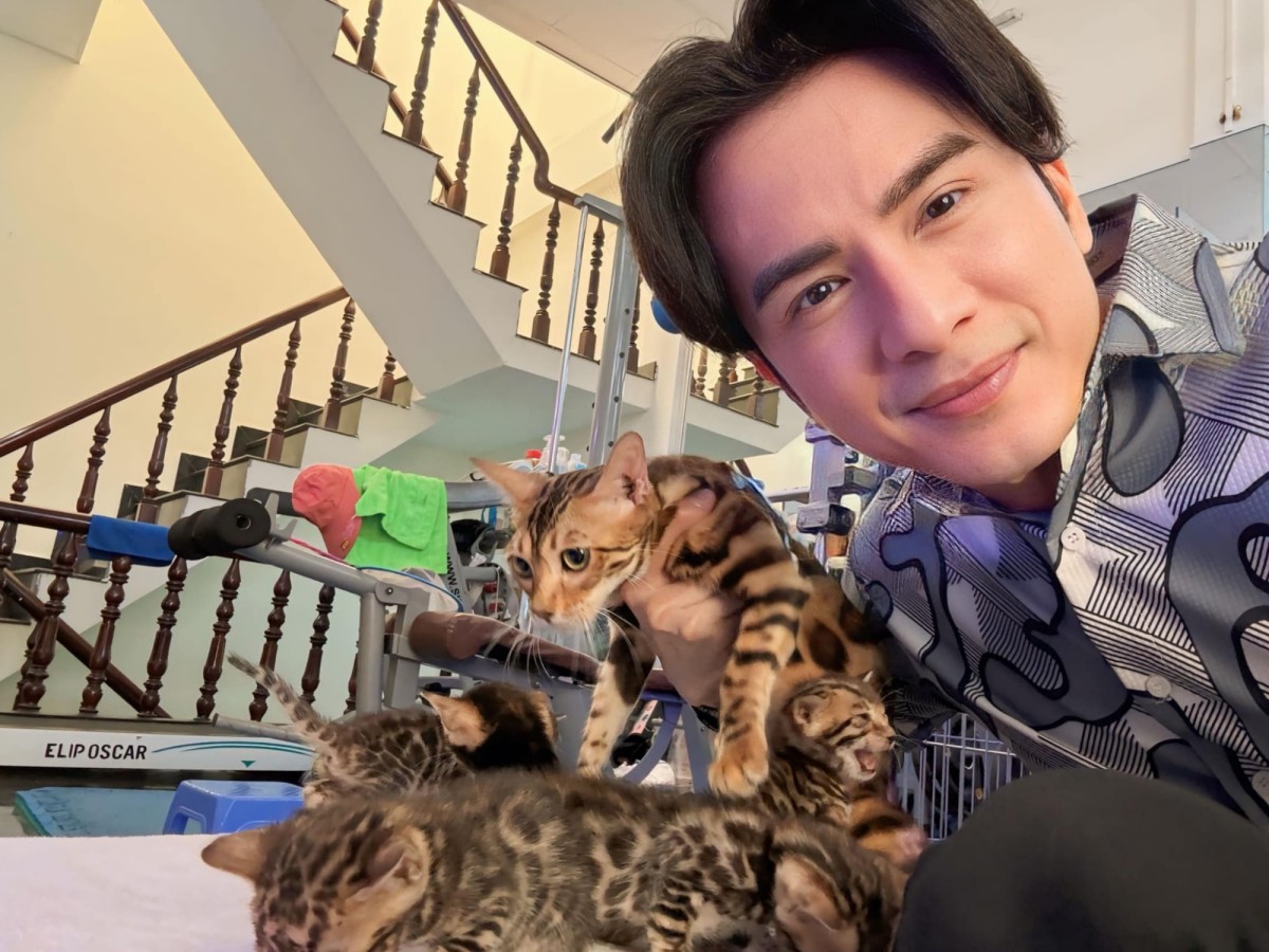 Đan Trường khoe đàn mèo cưng trị giá cả trăm triệu