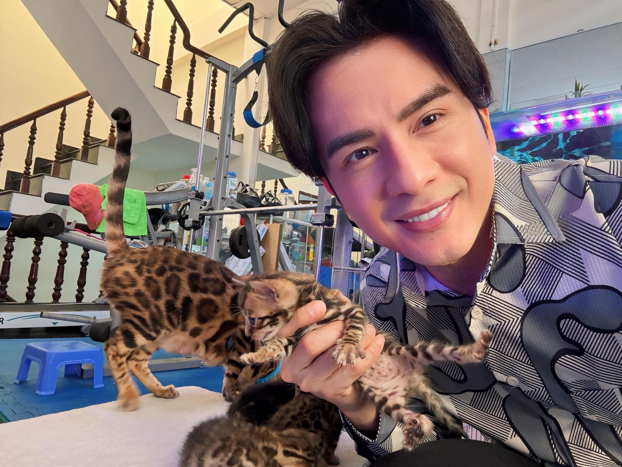 Đan Trường khoe đàn mèo cưng trị giá cả trăm triệu