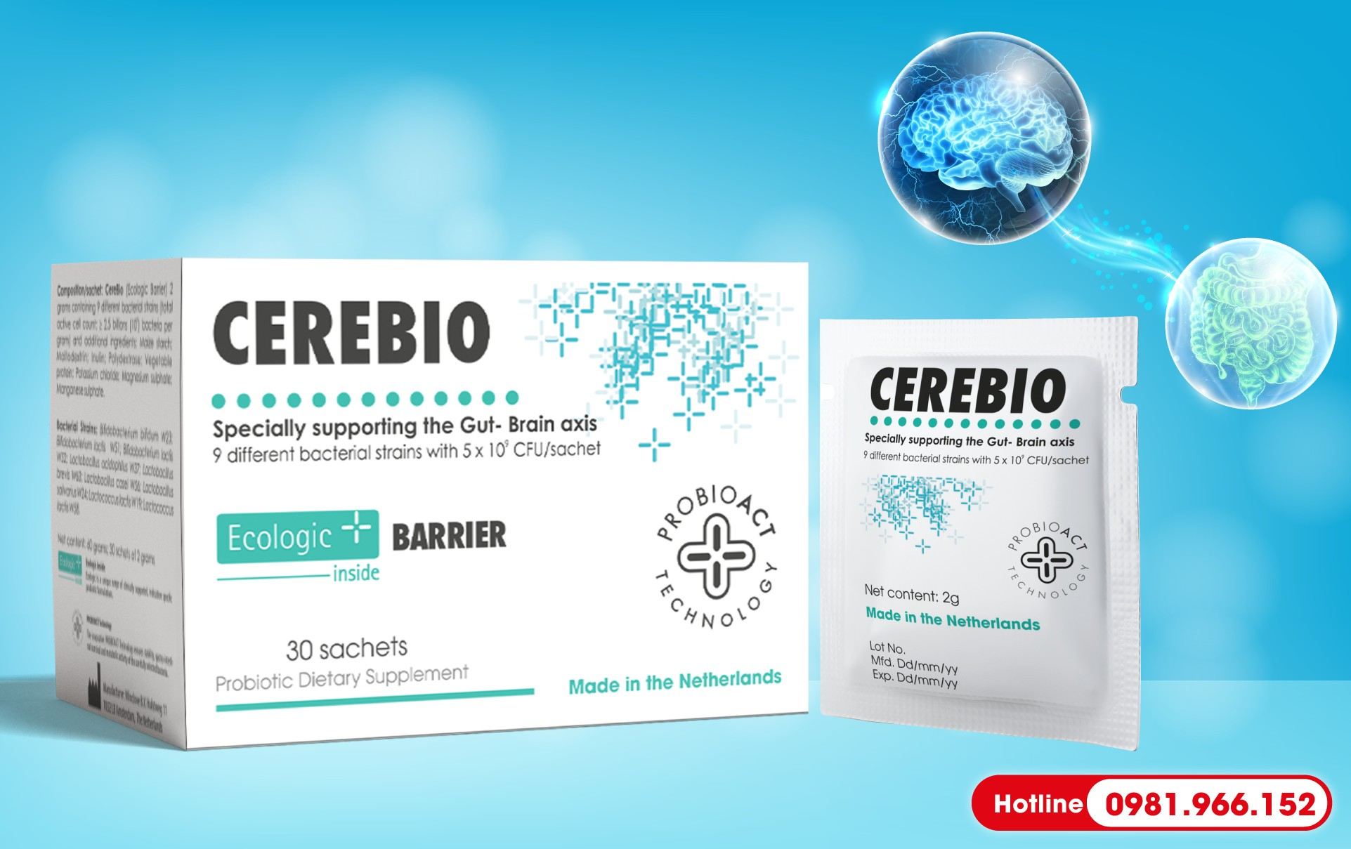 Nguyên nhân gây ra hội chứng ruột kích thích và cách phòng ngừa