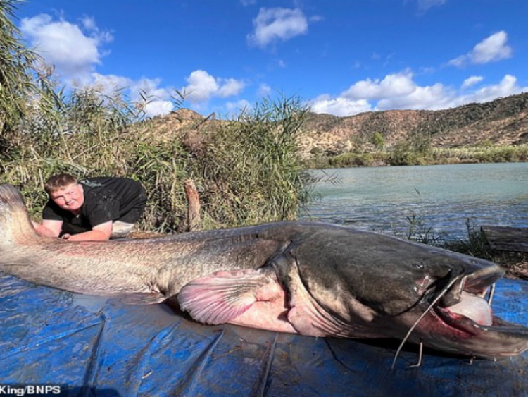 Cậu bé Anh câu được cá trê khổng lồ, phá kỷ lục thế giới